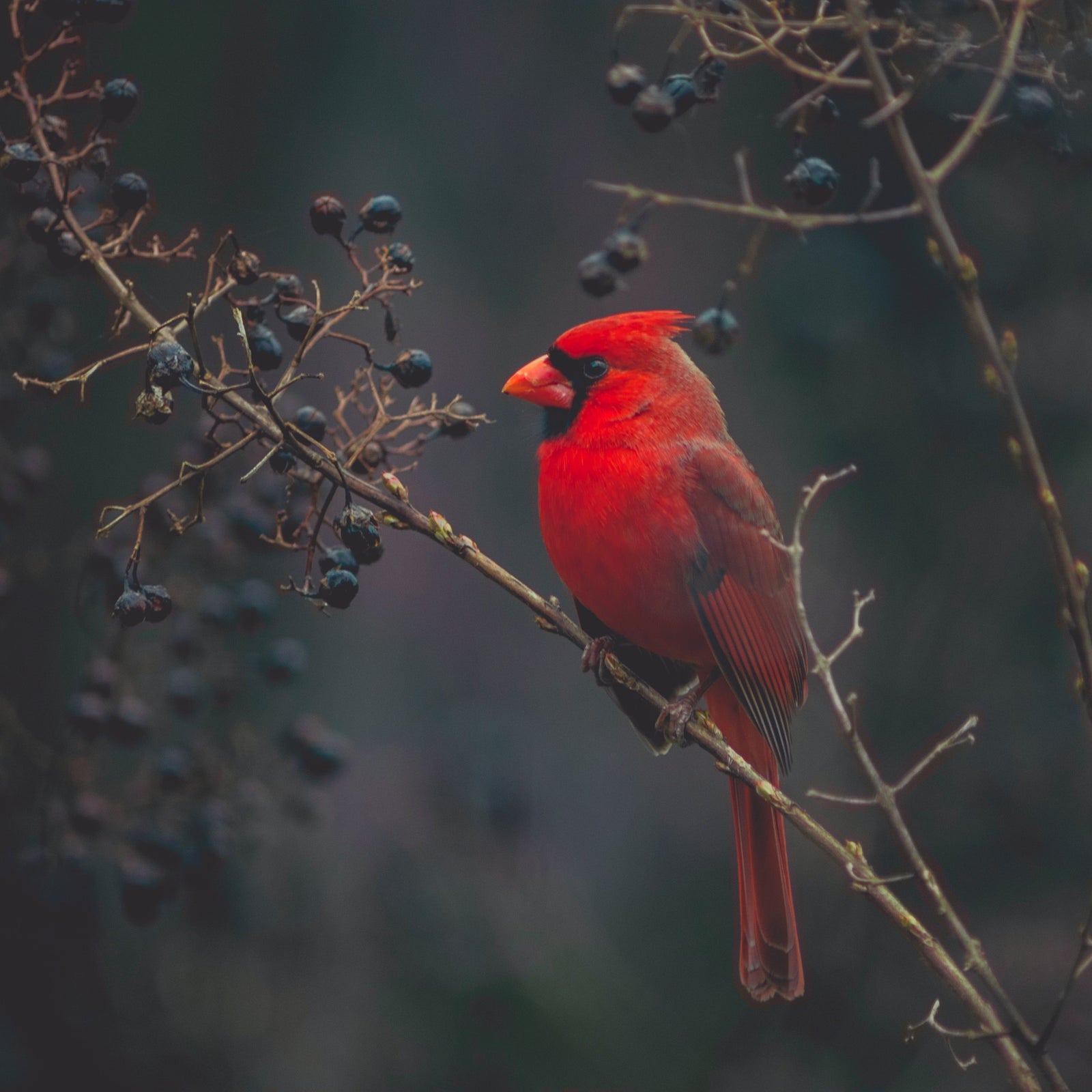 Personalized Handwritten Note - Planted
